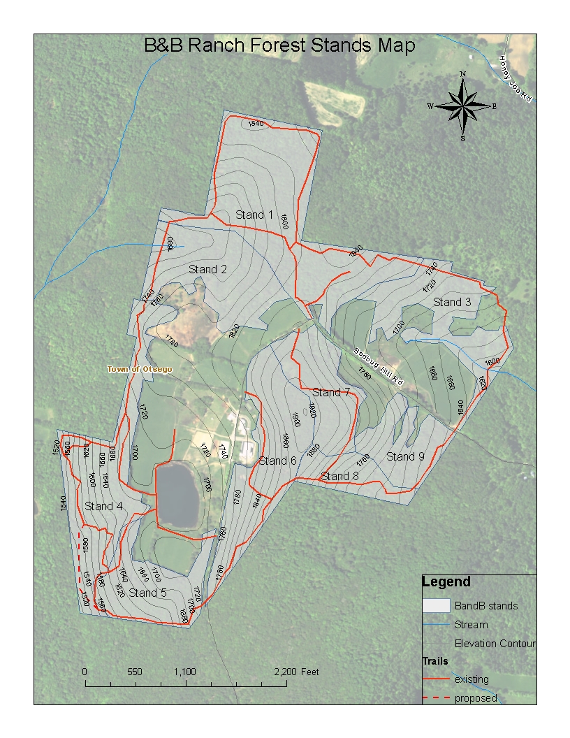 Stands map – AMRO Forestry